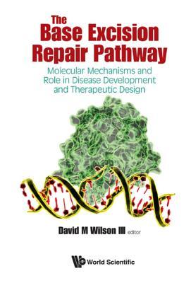 Base Excision Repair Pathway, The: Molecular Mechanisms And Role In ...