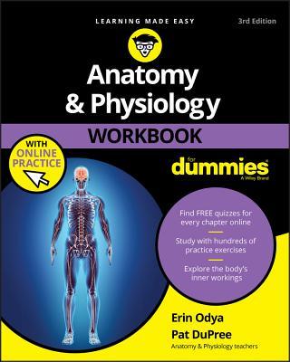 Anatomy & Physiology Workbook For Dummies with Online Practice by Erin ...