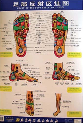 Chart of the Foot Reflective Zones (English & Chinese Edition) by Wang ...