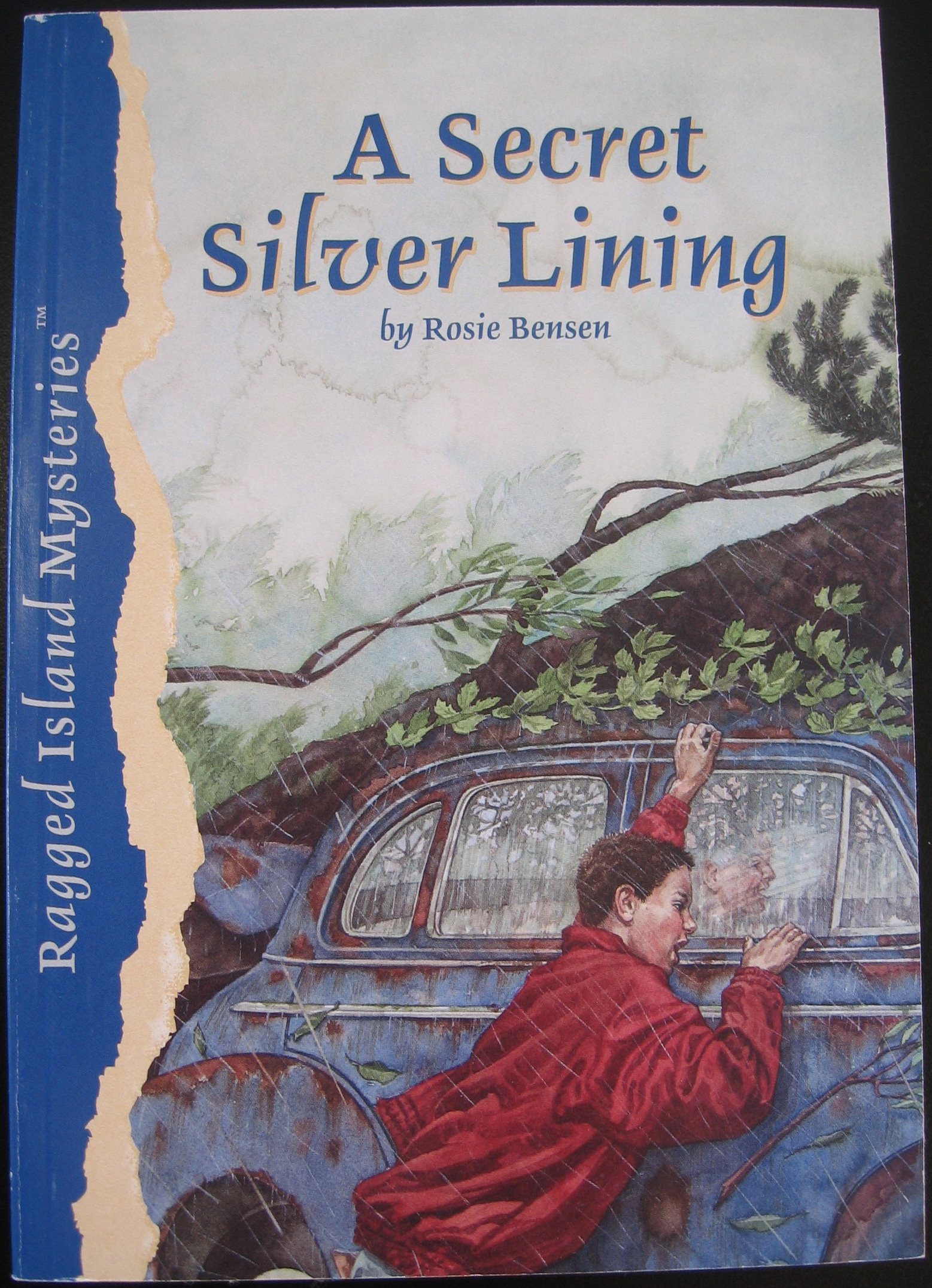 A Secret Silver Lining (Ragged) by Rosie Bensen | Goodreads