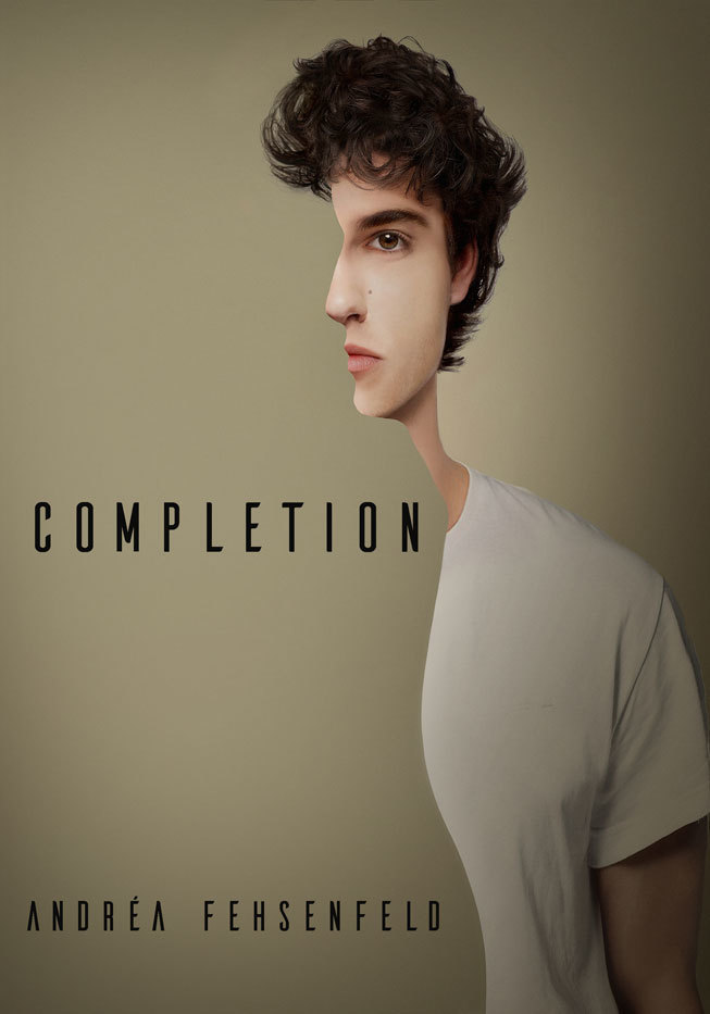 Completion by Andréa Fehsenfeld | Goodreads