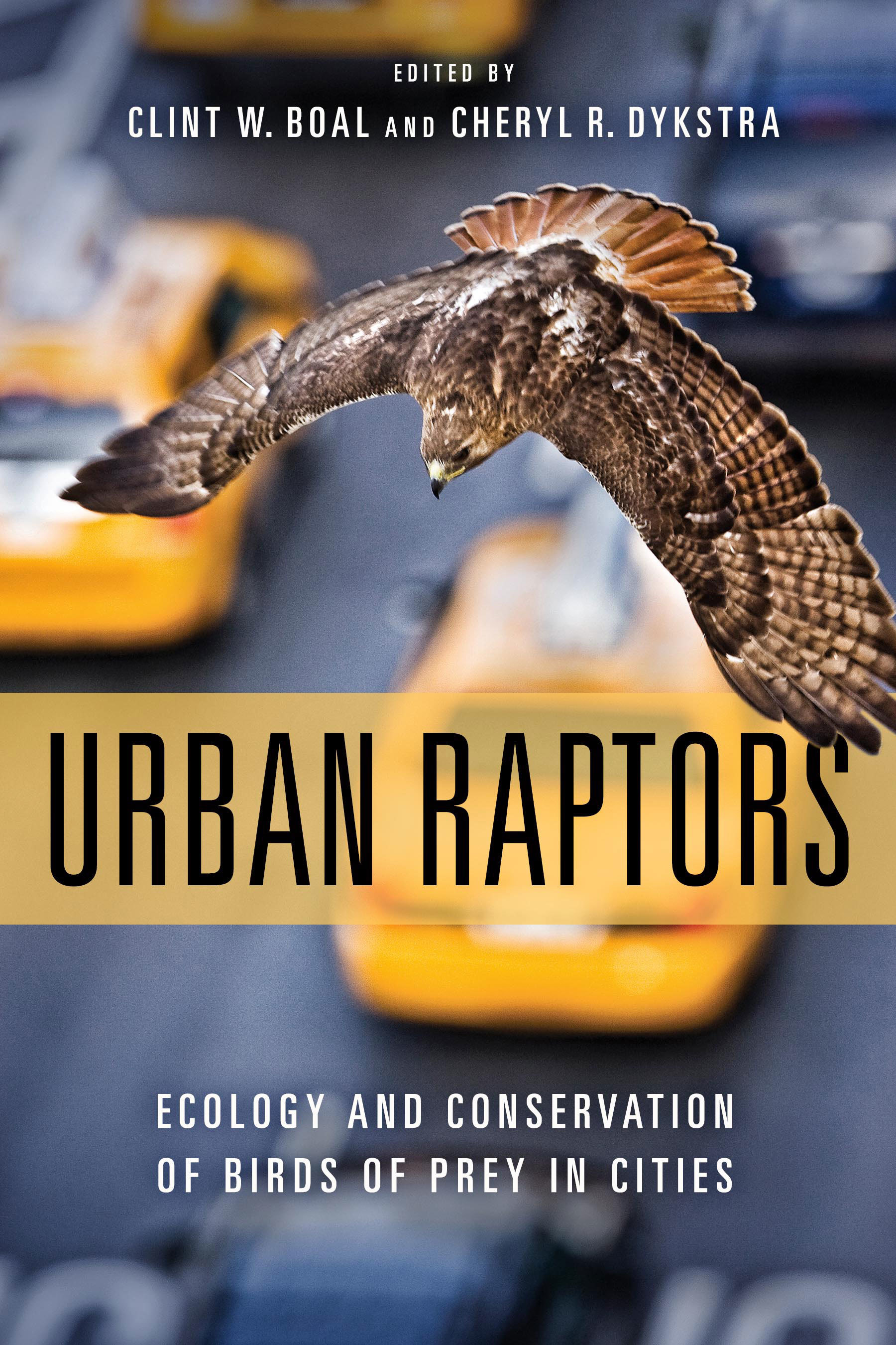Urban Raptors: Ecology and Conservation of Birds of Prey in Cities by ...