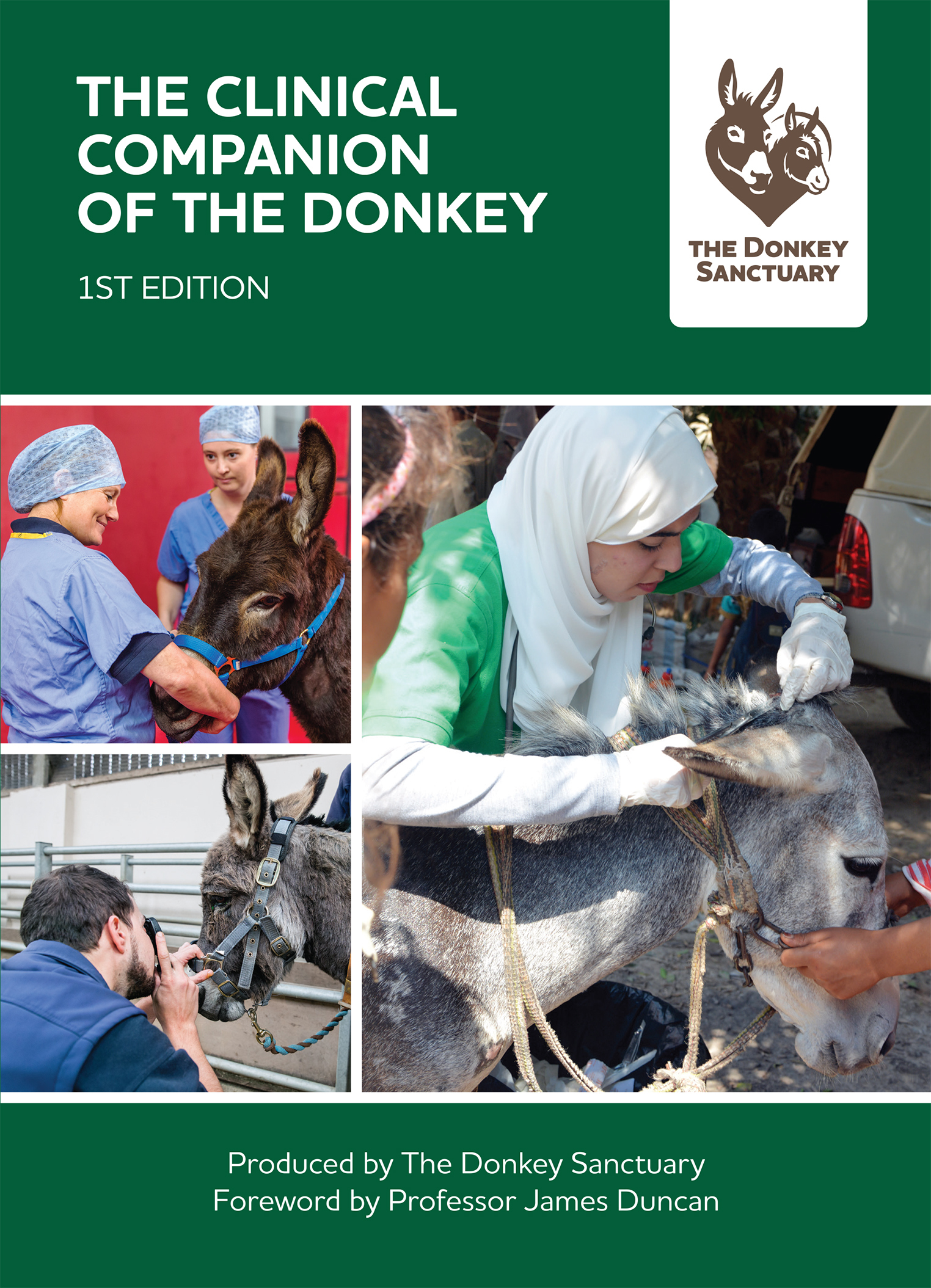 The Clinical Companion of the Donkey, 1st Edition by The Donkey ...