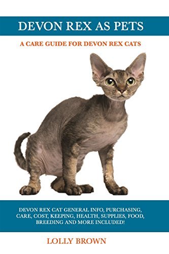 Devon Rex as Pets: Devon Rex Cat General Info, Purchasing, Care, Cost ...