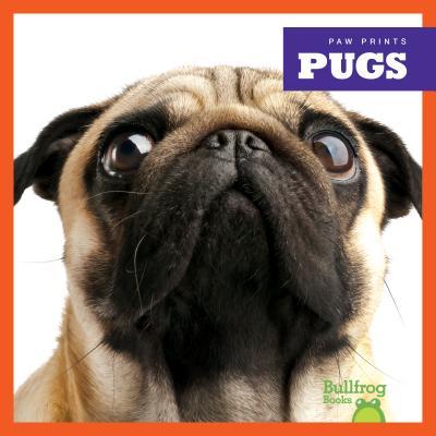 Pugs (Paw Prints) by Kaitlyn Duling | Goodreads