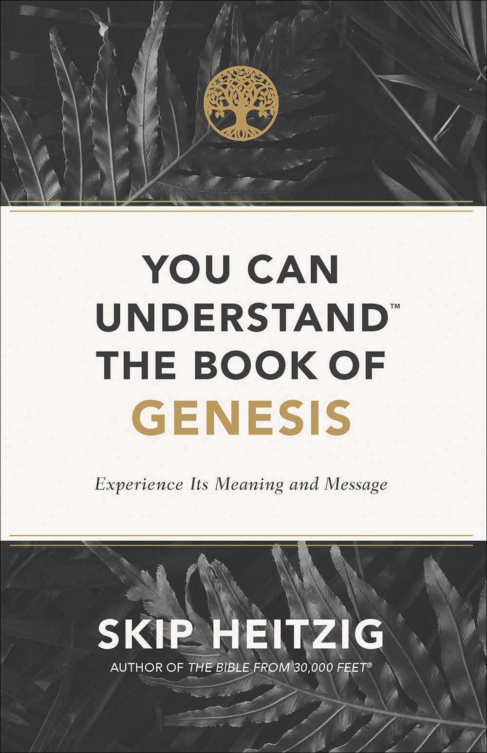 You Can Understand the Book of Genesis: Experience Its Meaning and ...