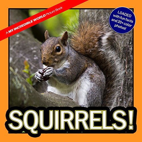 Squirrels!: A My Incredible World Picture Book for Children by My ...