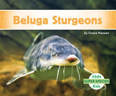 Beluga Sturgeons (Super Species) by Grace Hansen | Goodreads