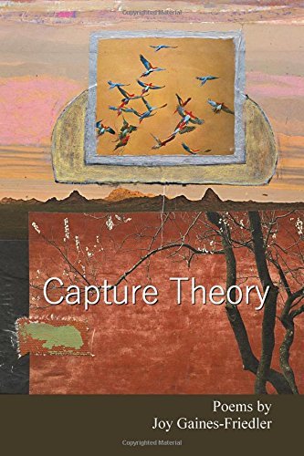 Capture Theory by Joy Gaines-Friedler | Goodreads