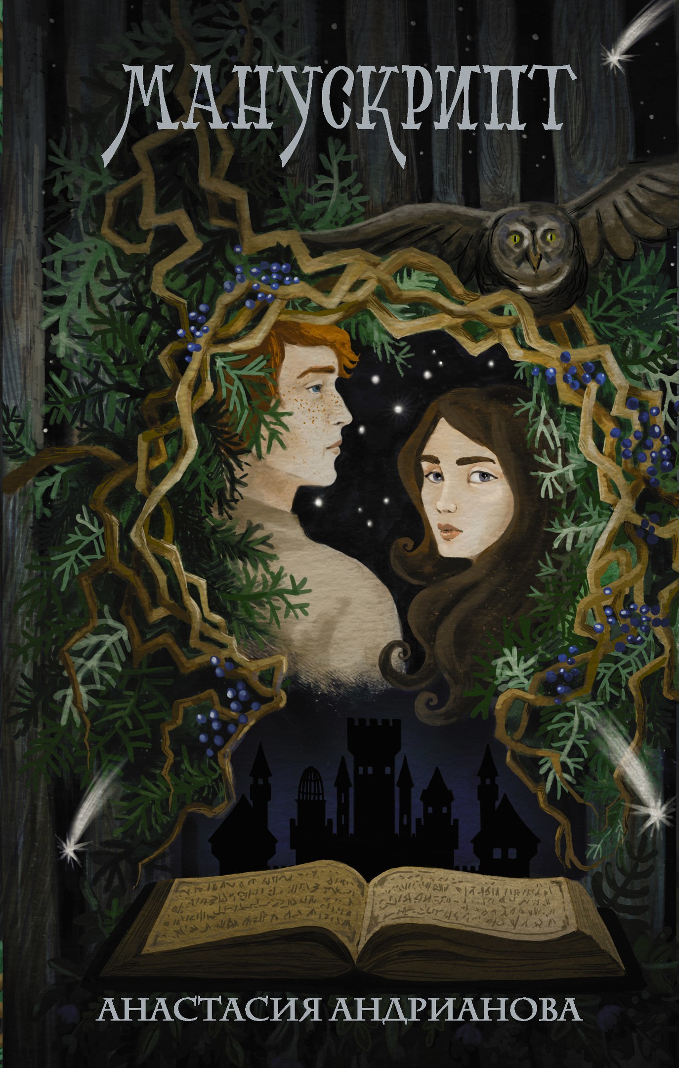 Манускрипт (Манускрипт, #1) by Анастасия Андрианова | Goodreads