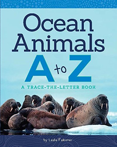Animals A Z Book