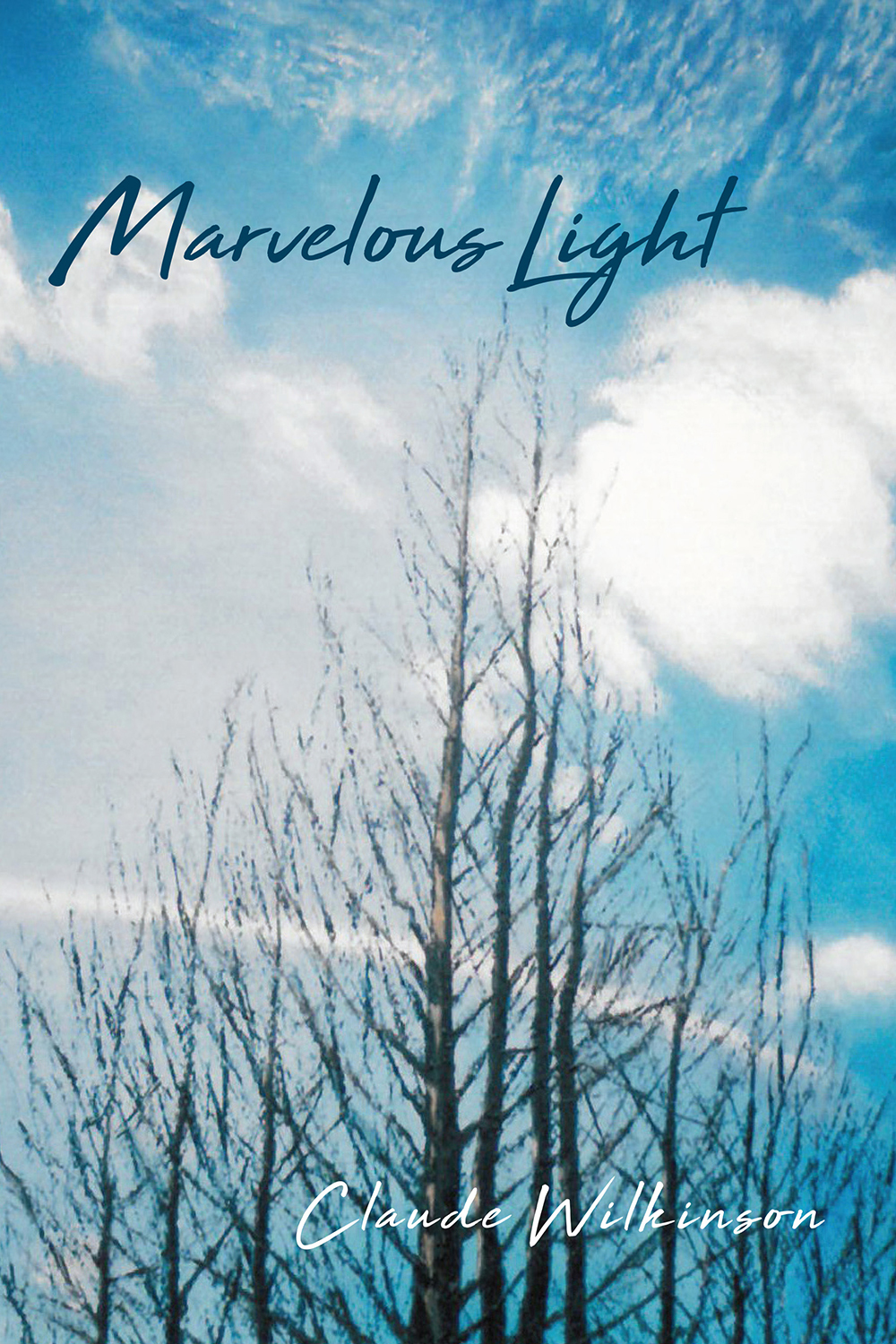 Marvelous Light by Claude Wilkinson | Goodreads