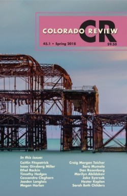 Colorado Review Vol. 45 Number 1 Spring 2018 by Stephanie G'Schwind ...