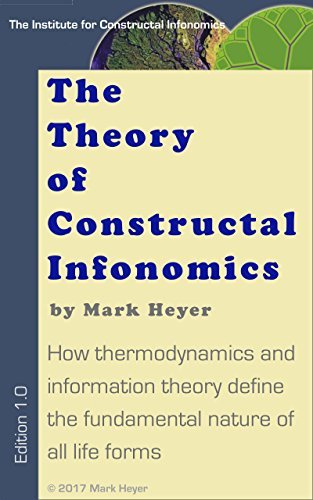 The Theory of Constructal Infonomics: The Information and Thermodynamic ...