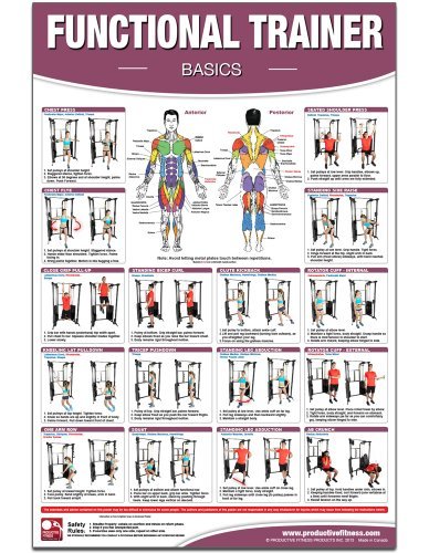 Functional Institutional/Home Gym Poster/Chart- Basics - Functional ...
