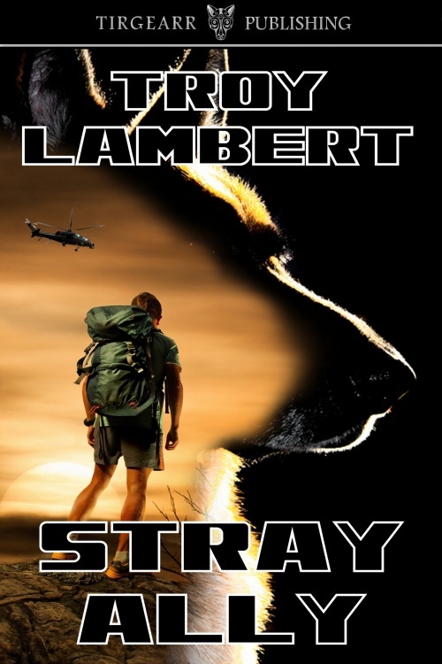 Stray Ally by Troy Lambert | Goodreads