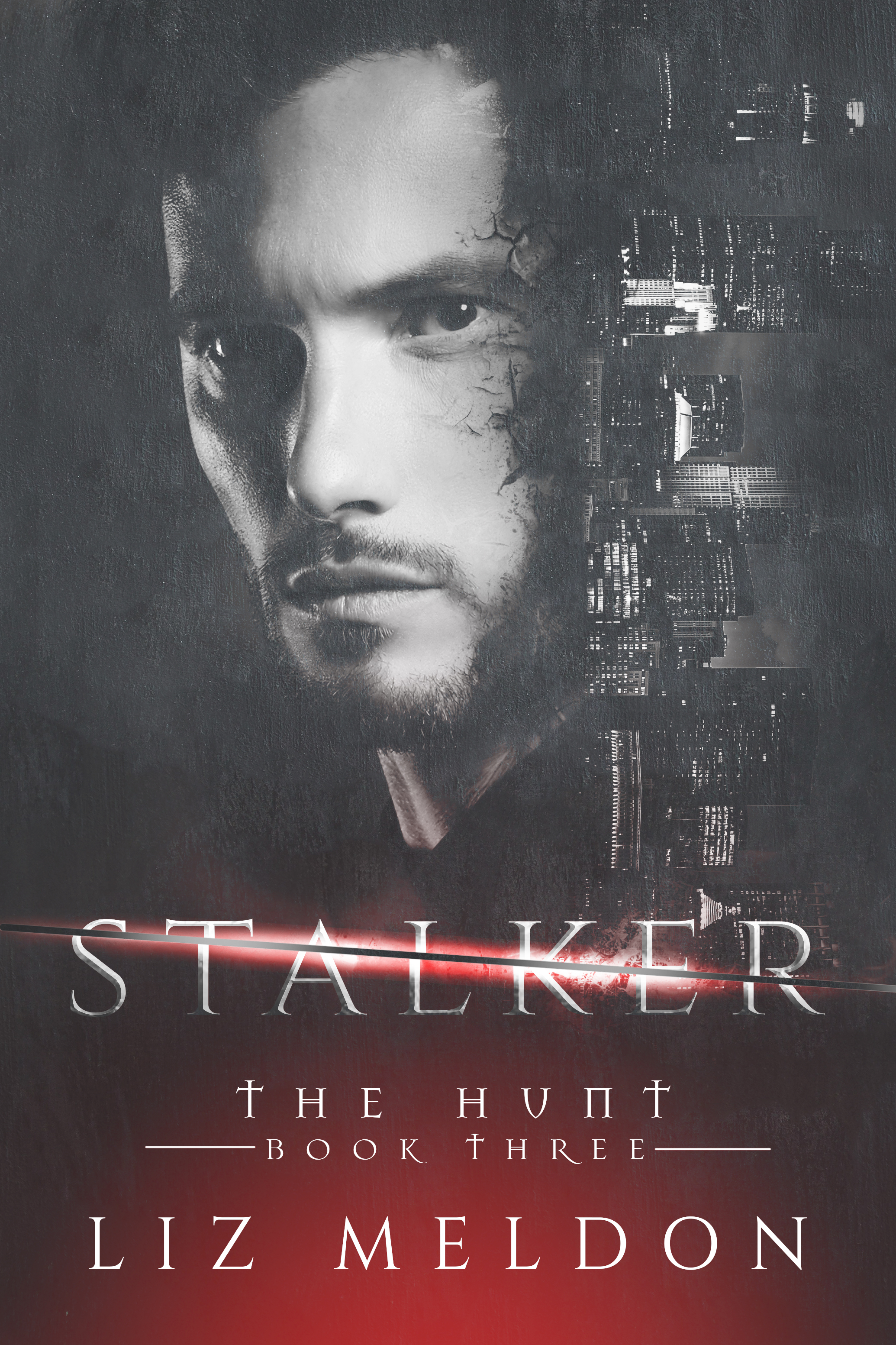 Stalker (The Hunt, #3) by Liz Meldon | Goodreads