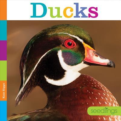 Ducks (Seedlings: Backyard Animals) by Kate Riggs | Goodreads