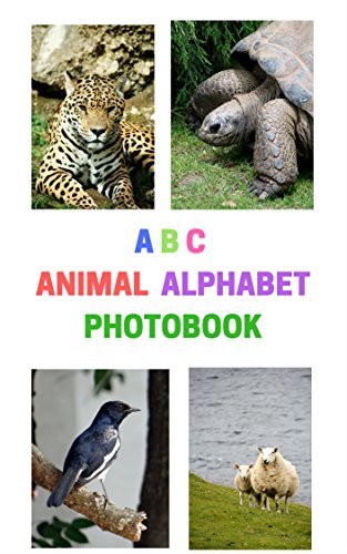 ABC ANIMAL ALPHABET PHOTOBOOK by PIM HOMEY | Goodreads
