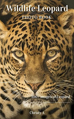 Wildlife Leopard Photo Book: 100+ images of Leopard by Christy A ...