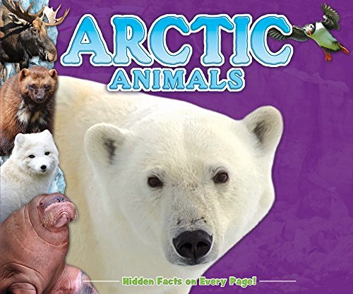 Arctic Animals Fun Facts for Kids by Kidsbooks | Goodreads