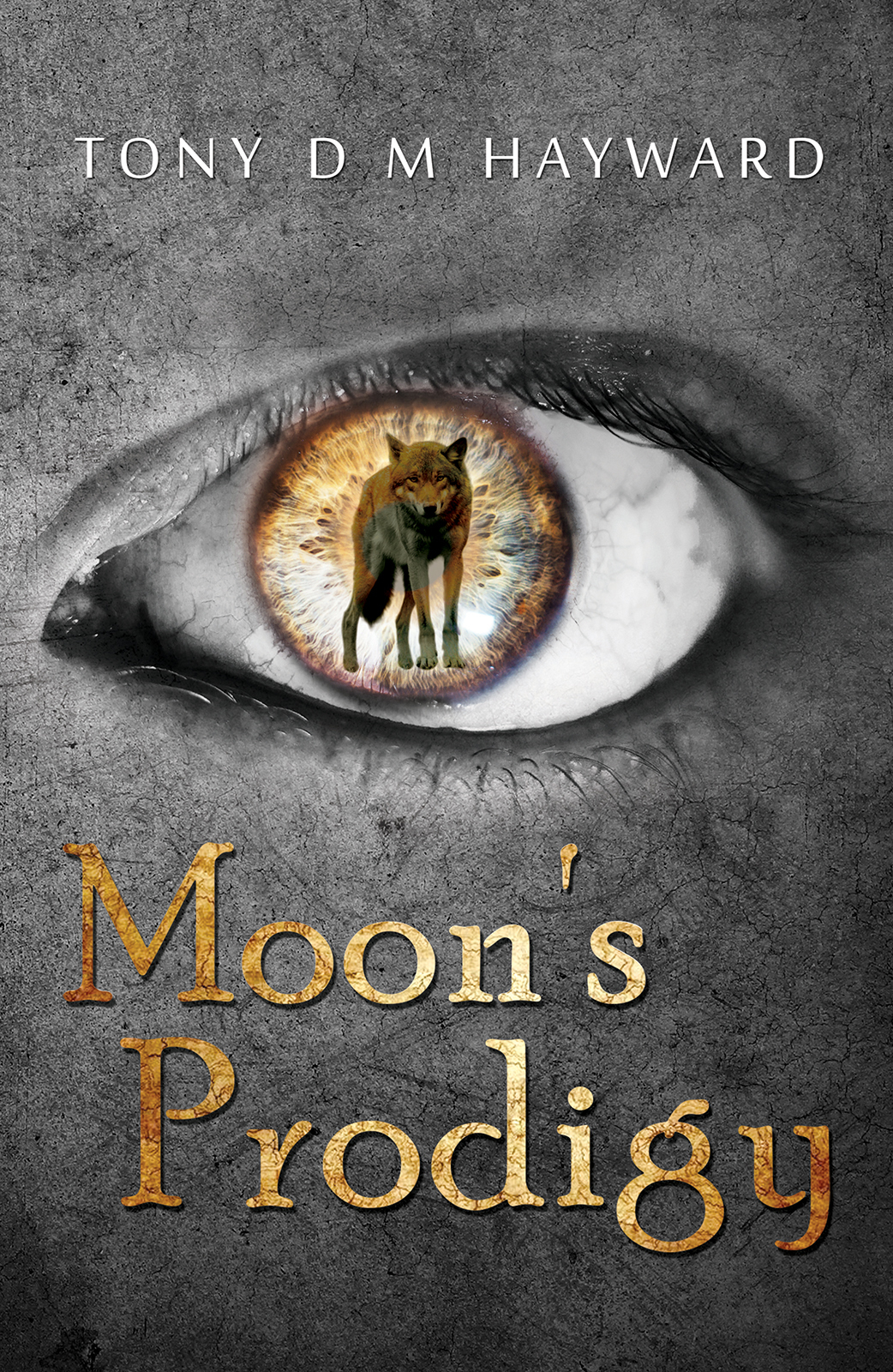 Moon's Prodigy by Tony D.M. Hayward | Goodreads