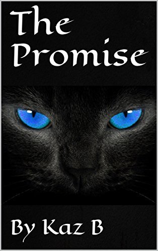 The Promise by By Kaz B | Goodreads