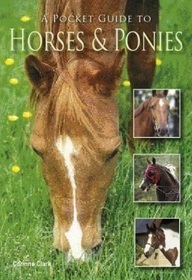 A Pocket Guide to Horses & Ponies by Corinne Clark | Goodreads