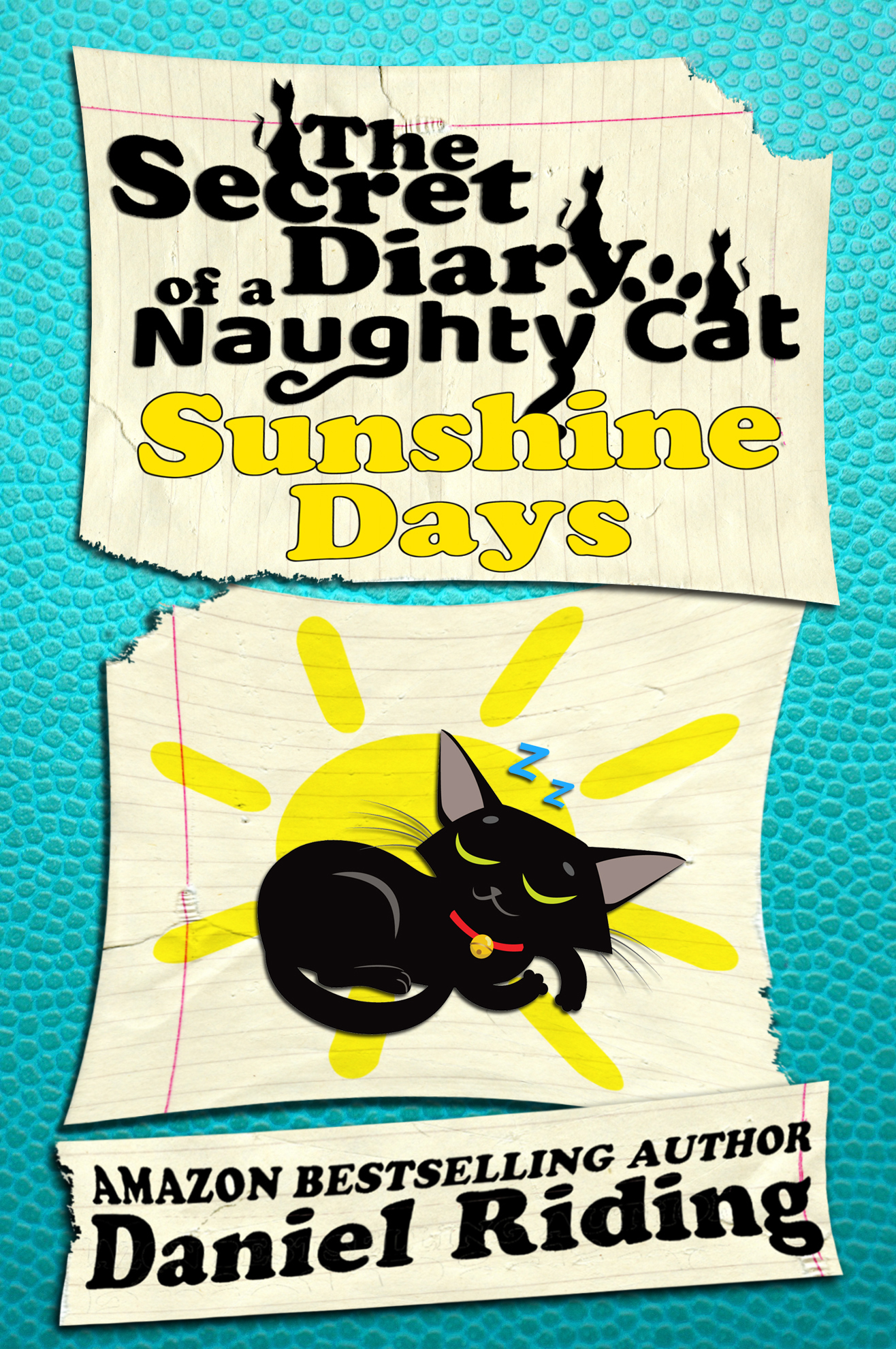 The Secret Diary of a Naughty Cat: Sunshine Days by Daniel Riding ...