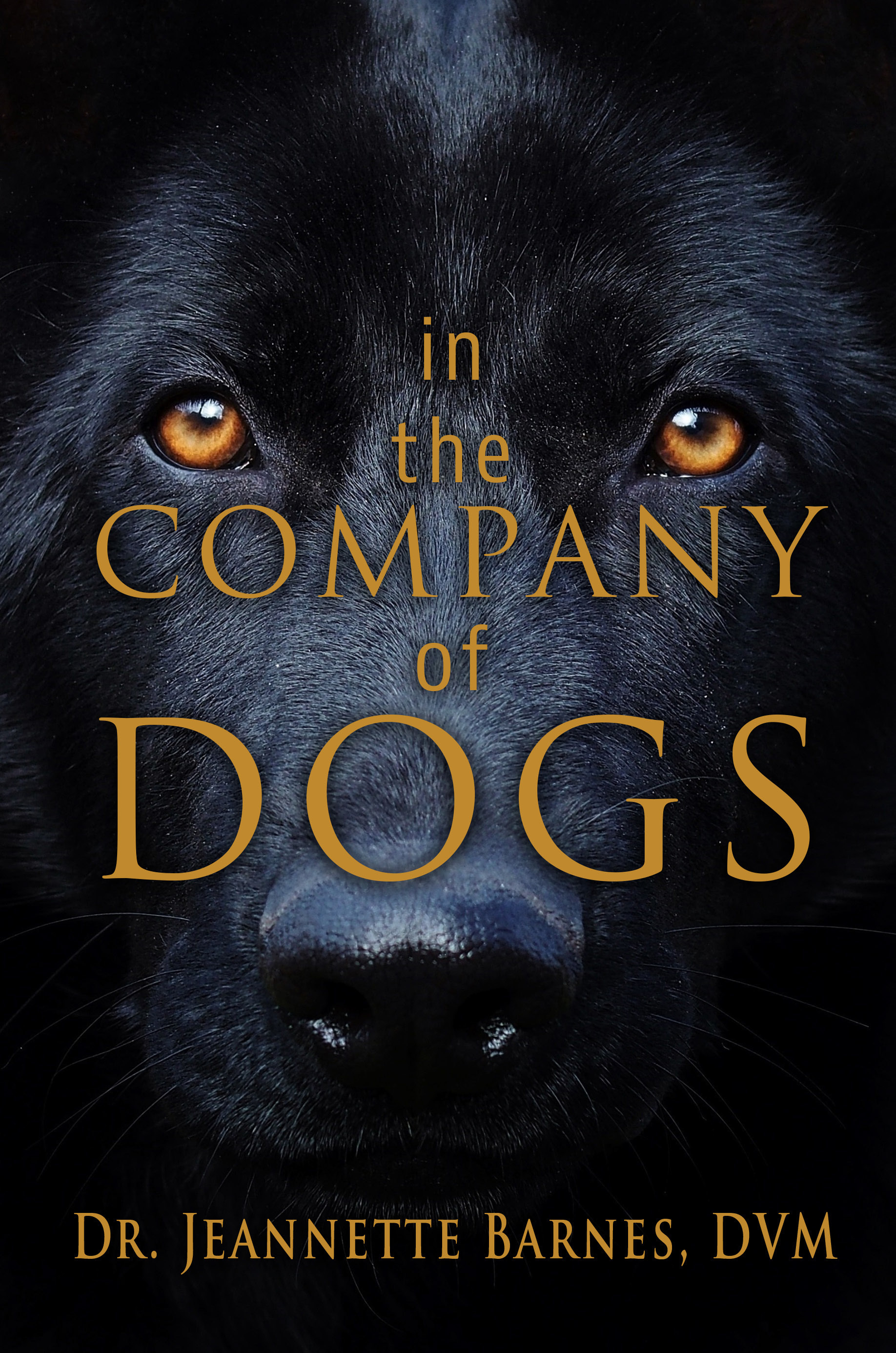 In the Company of Dogs by Jeannette Barnes | Goodreads