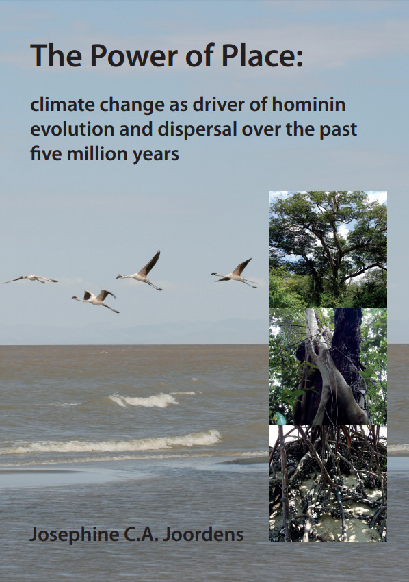 The Power of Place: climate change as driver of hominin evolution and ...