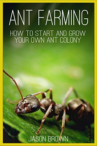 Ant Farming: How to Start and Grow Your Own Ant Colony by Jason Brown ...