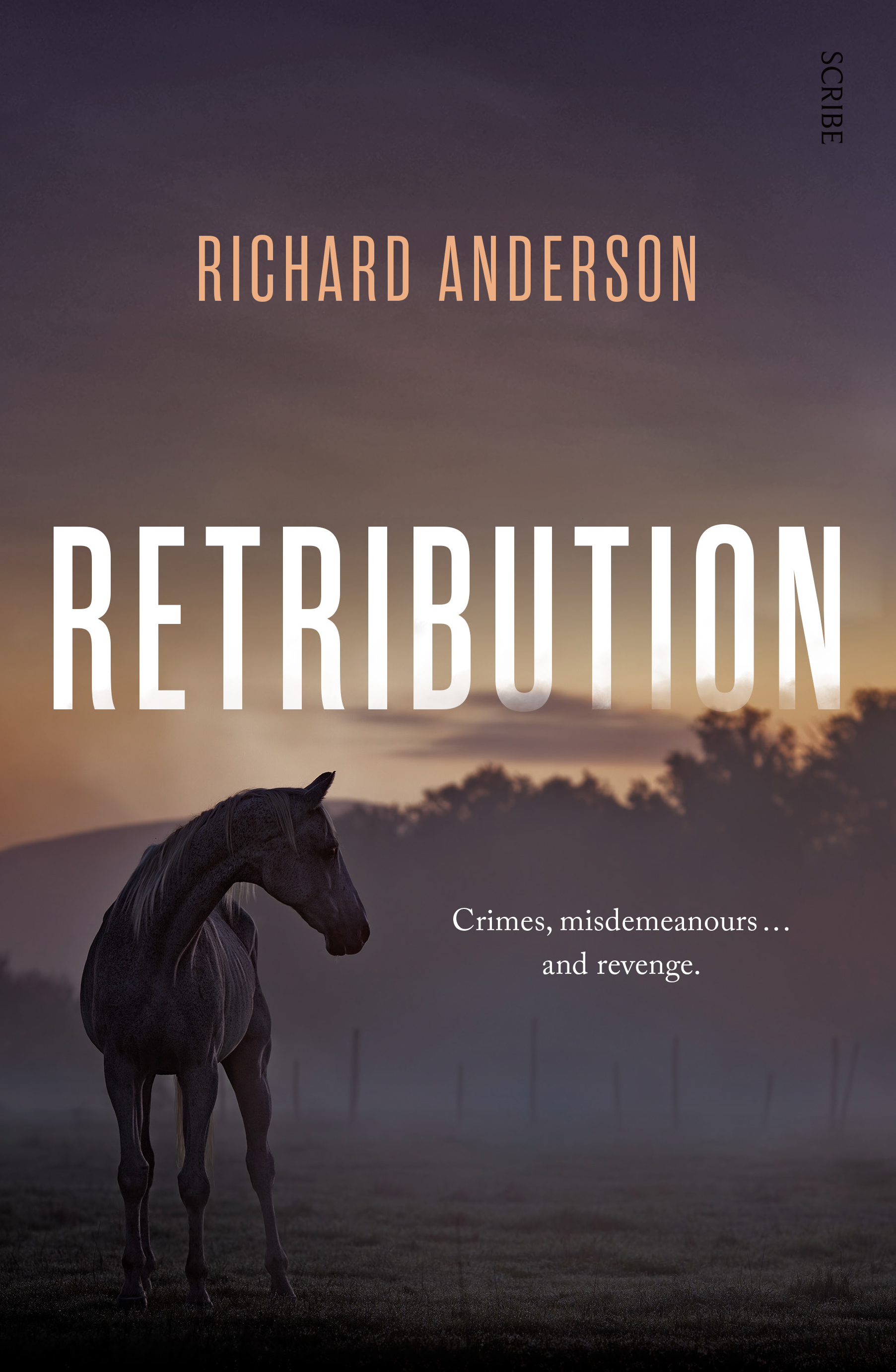 Retribution by Richard Anderson | Goodreads