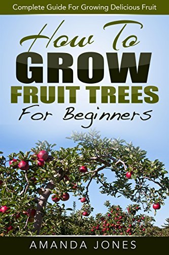 How To Grow Fruit Trees For Beginners: Complete Guide For Growing ...