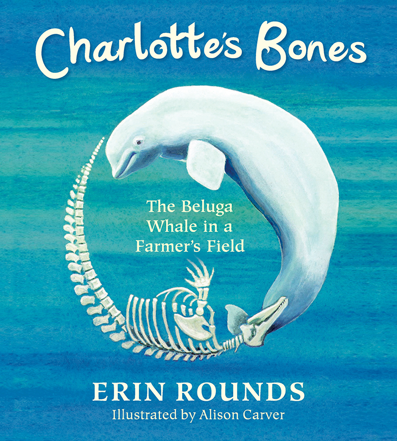 Charlotte's Bones: The Beluga Whale in a Farmer's Field by Erin Rounds ...