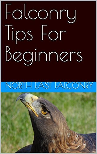 Falconry Tips For Beginners by North East Falconry | Goodreads