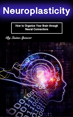 Neuroplasticity: How to Organize Your Brain through Neural Connections ...