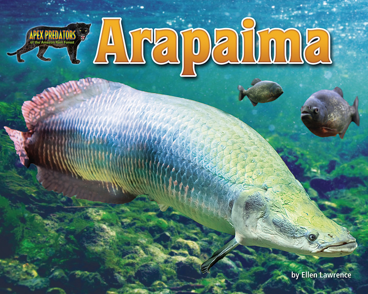Arapaima (Apex Predators of the Amazon Rain Forest) by Ellen Lawrence ...