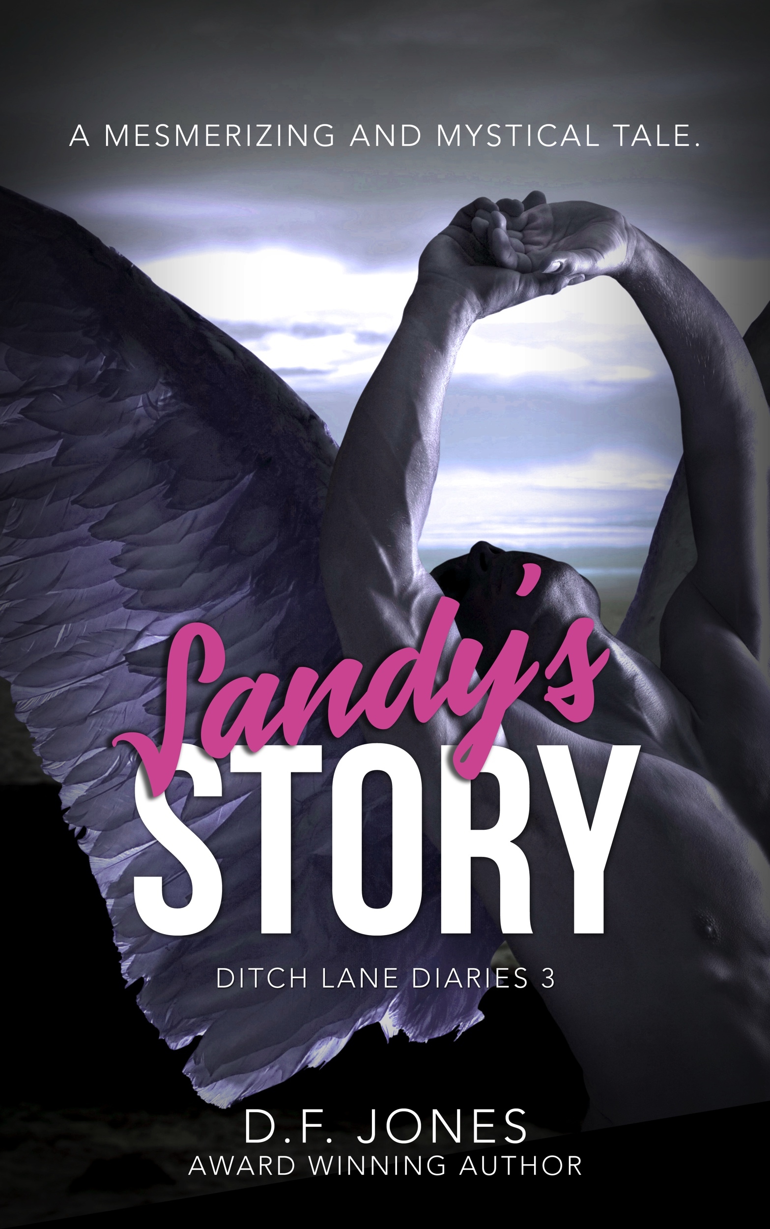 Sandy's Story (Ditch Lane Diaries #3) by D.F. Jones | Goodreads