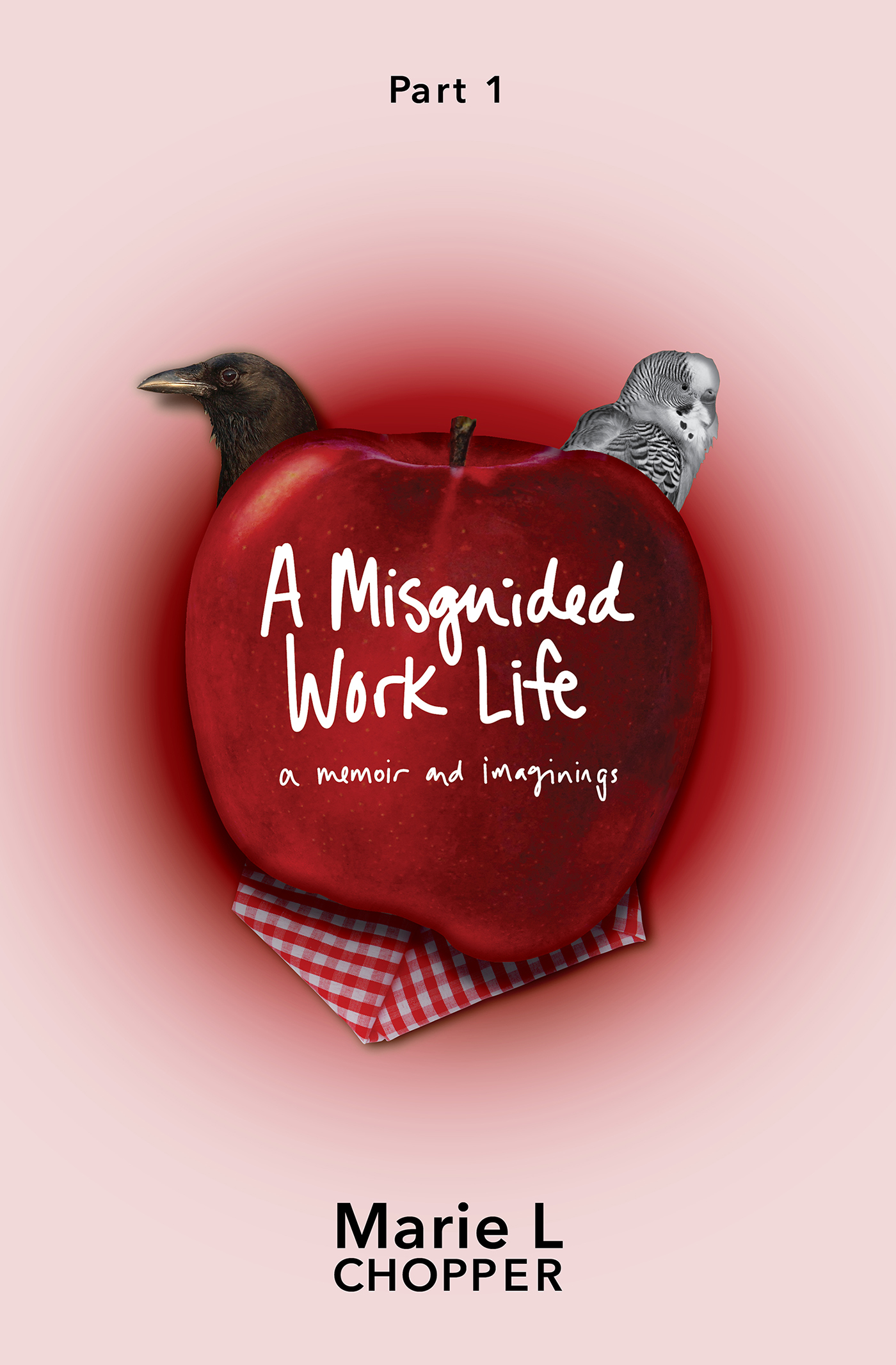 A Misguided Work Life a memoir and imaginings Part 1 by Marie L ...