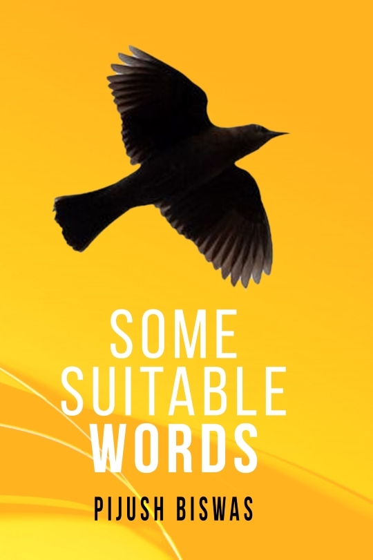 Some Suitable Words by PIJUSH BISWAS | Goodreads