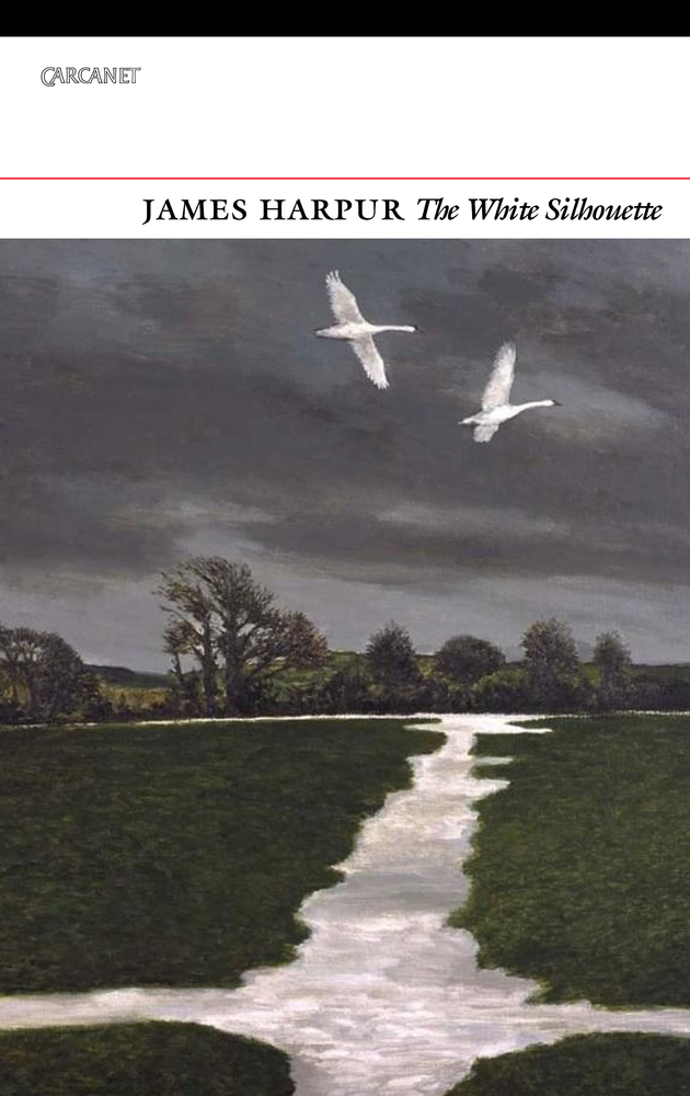 The White Silhouette by James Harpur | Goodreads