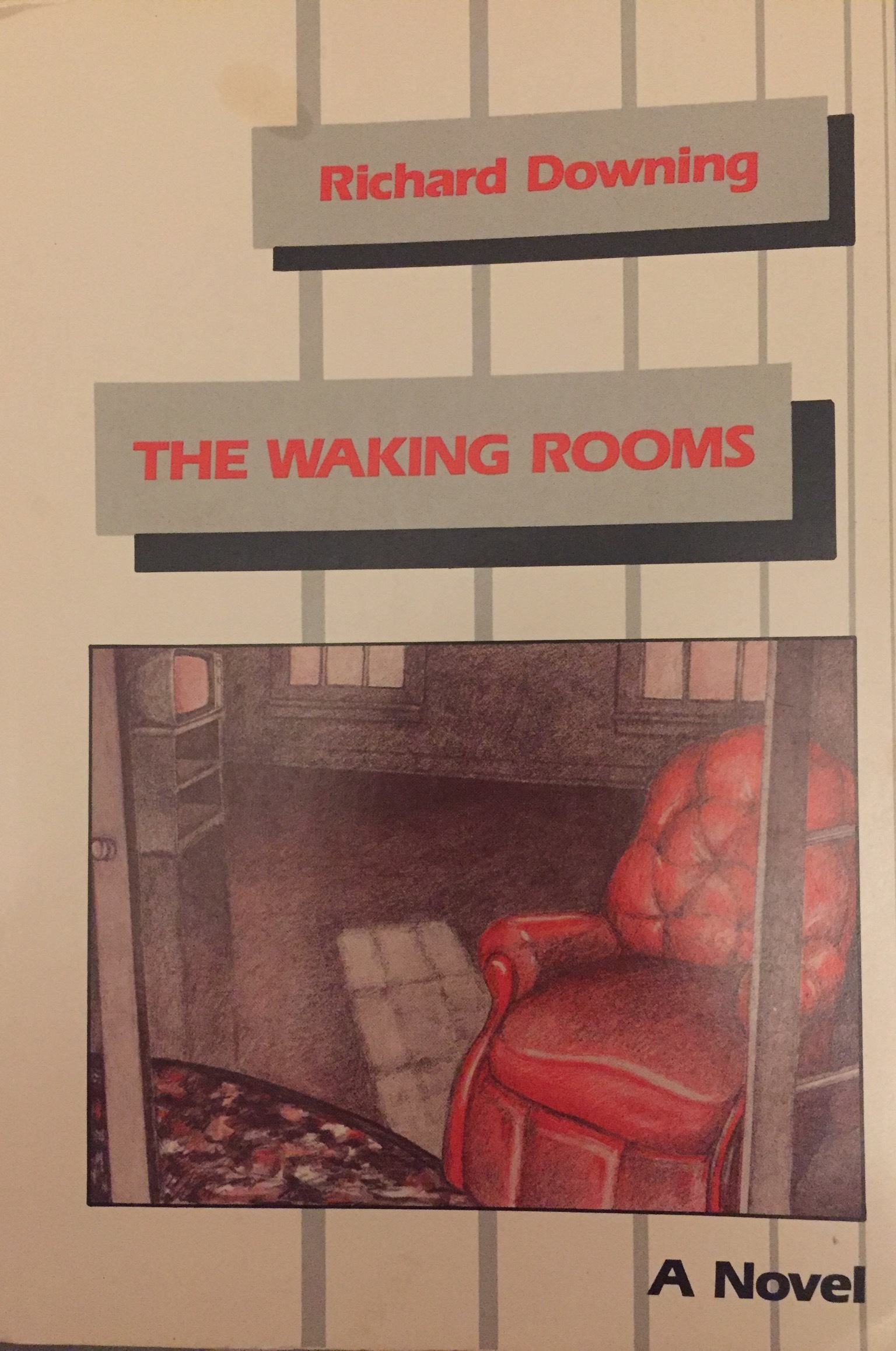 The Waking Rooms, a Novel by Richard Downing | Goodreads
