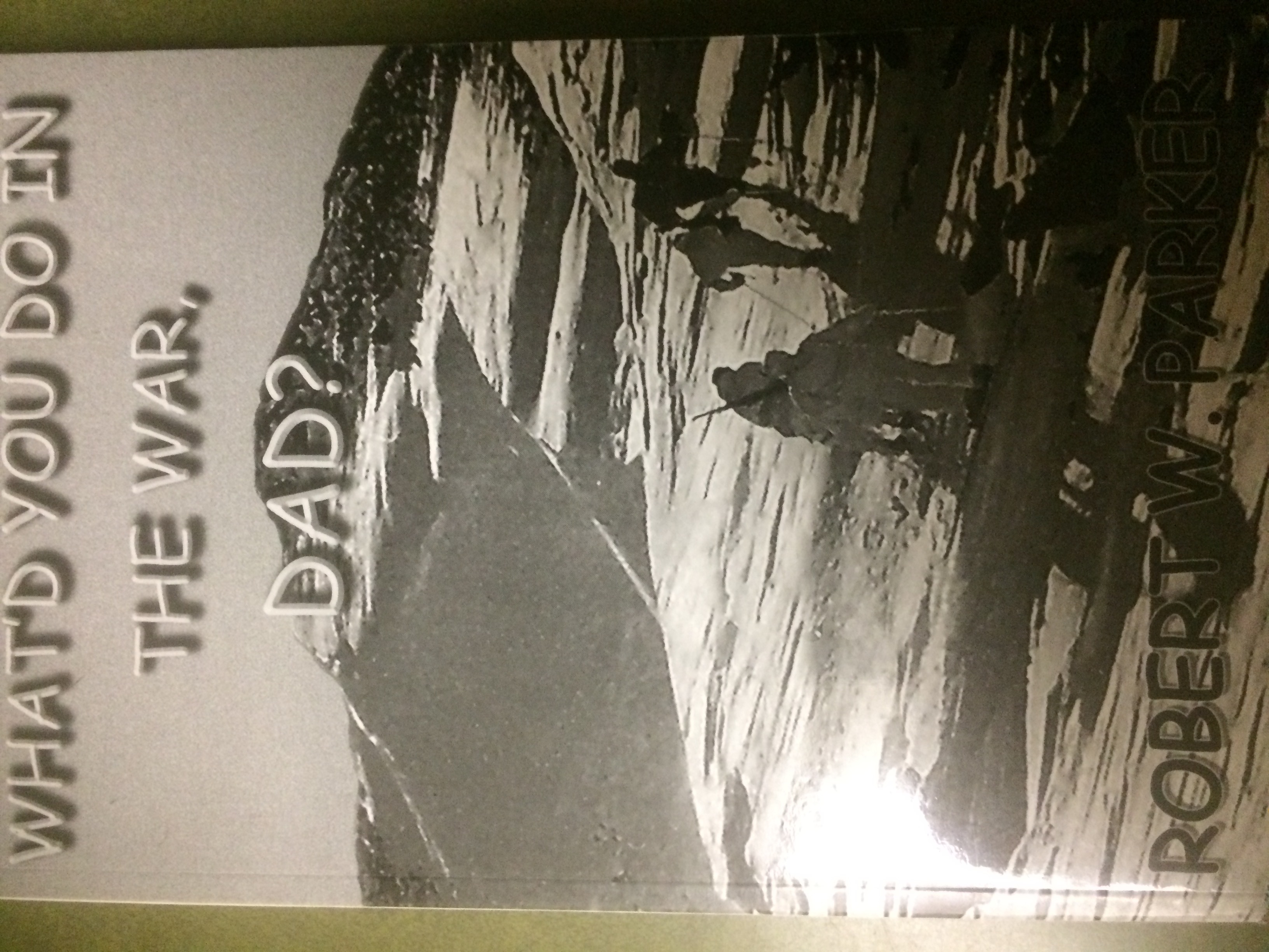 What'd You Do in the War, Dad? A Personal Look at 34 Months in the 10th ...