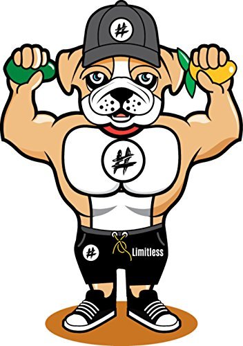 The Limitless Health Guide: The Physical and Psychological Health Guide ...