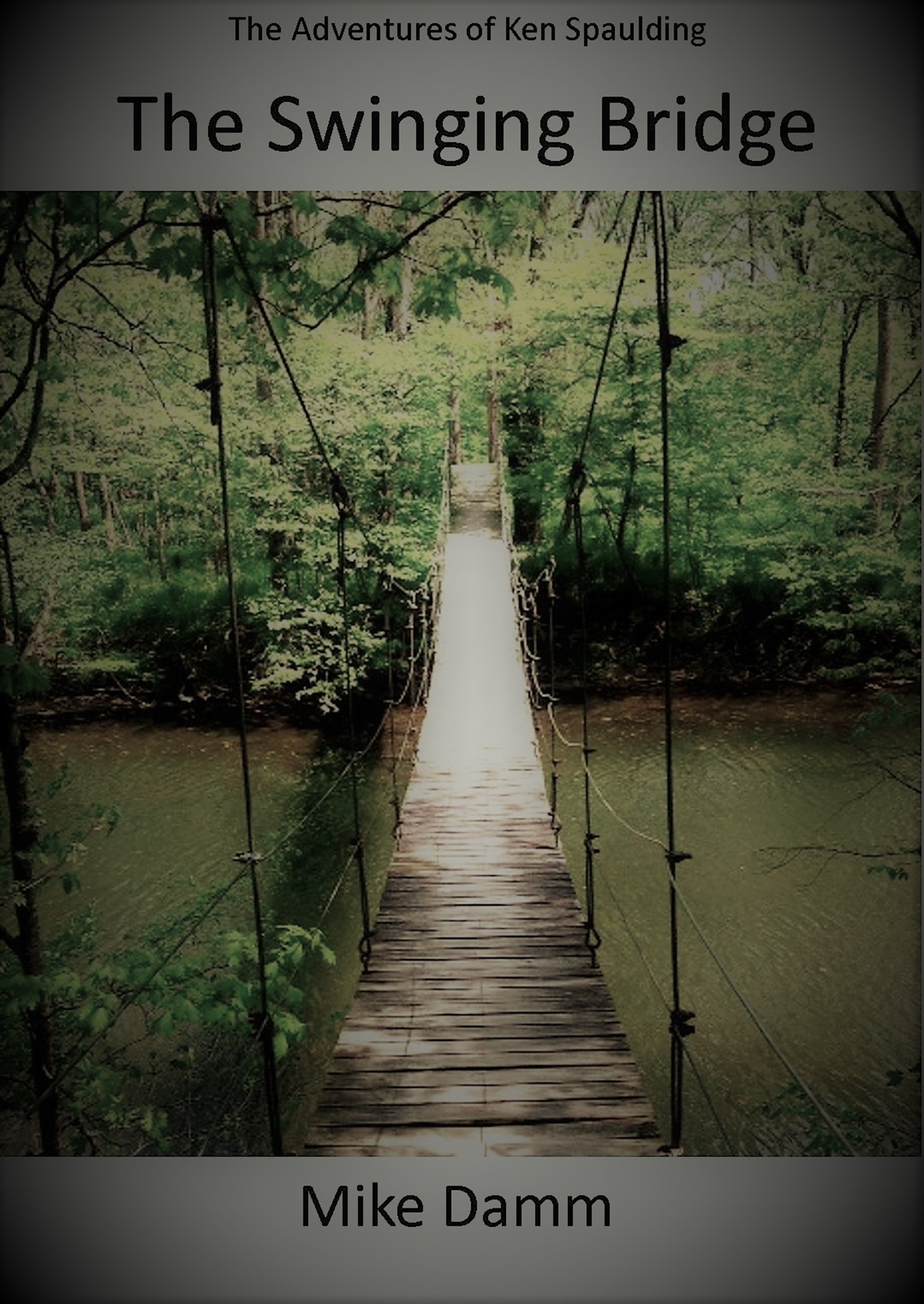 The Swinging Bridge The Adventures Of Ken Spaulding By Mike Damm