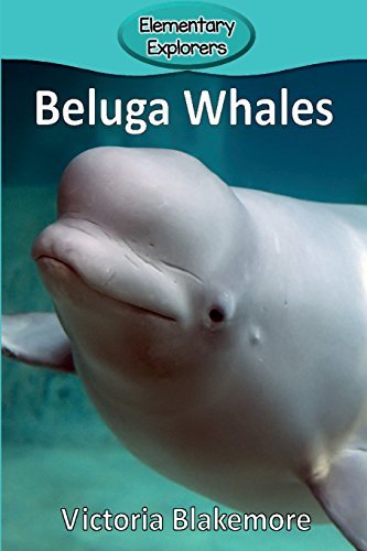 Beluga Whales (Elementary Explorers) by Victoria Blakemore | Goodreads
