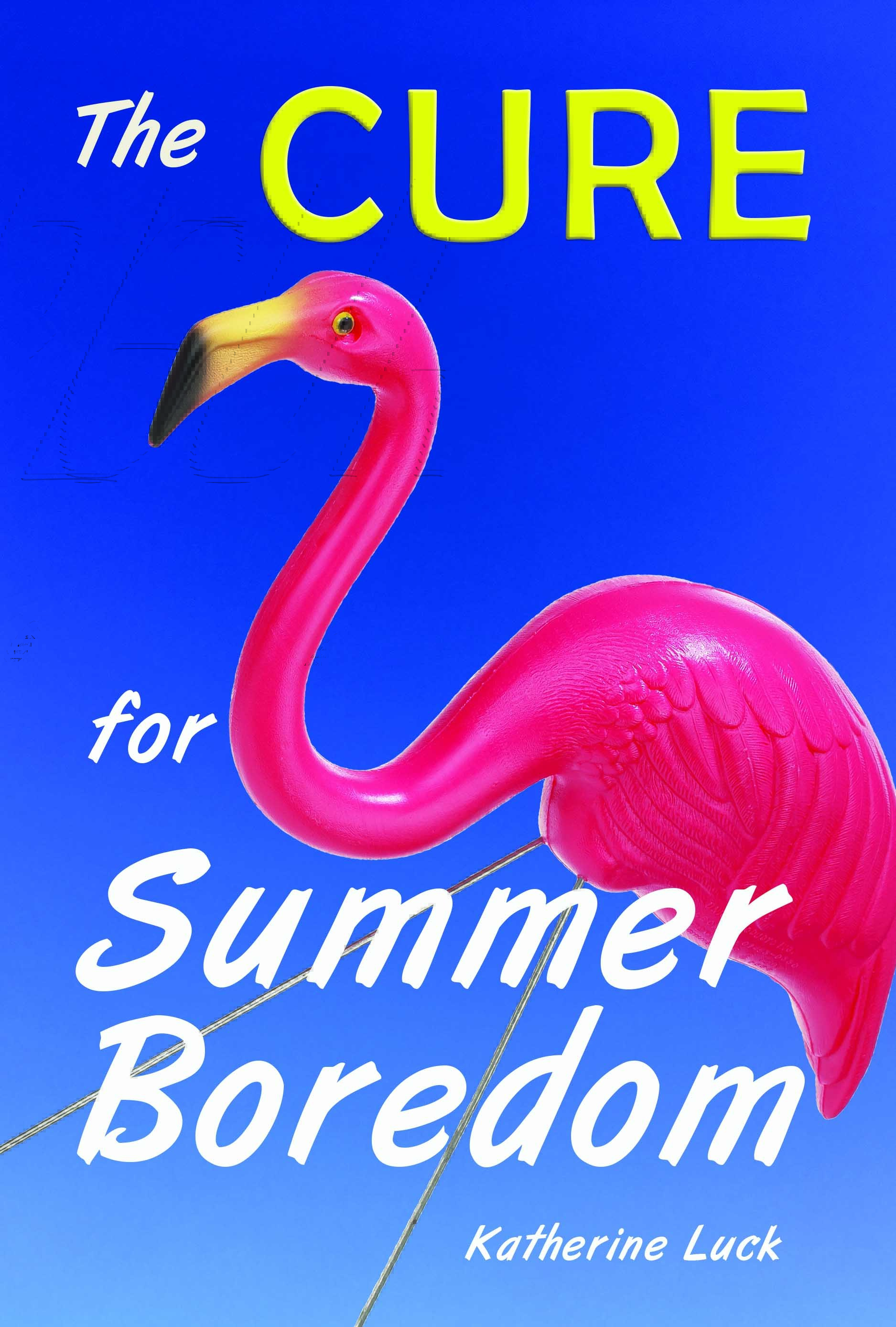 The Cure for Summer Boredom by Katherine Luck | Goodreads