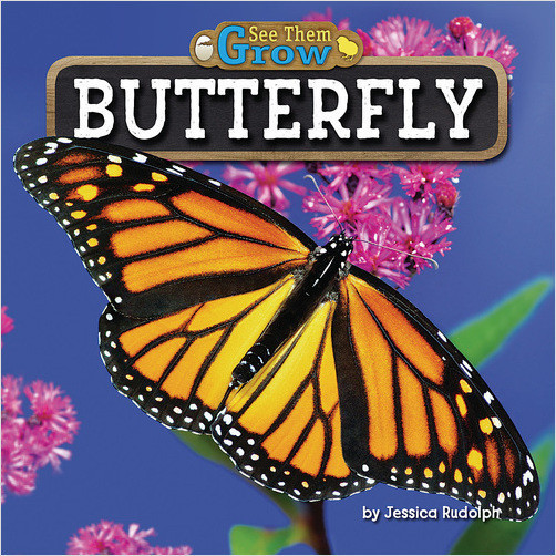Butterfly by Jessica Rudolph | Goodreads