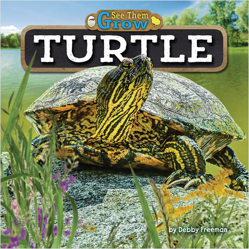Turtle (See Them Grow) by Debby Freeman | Goodreads